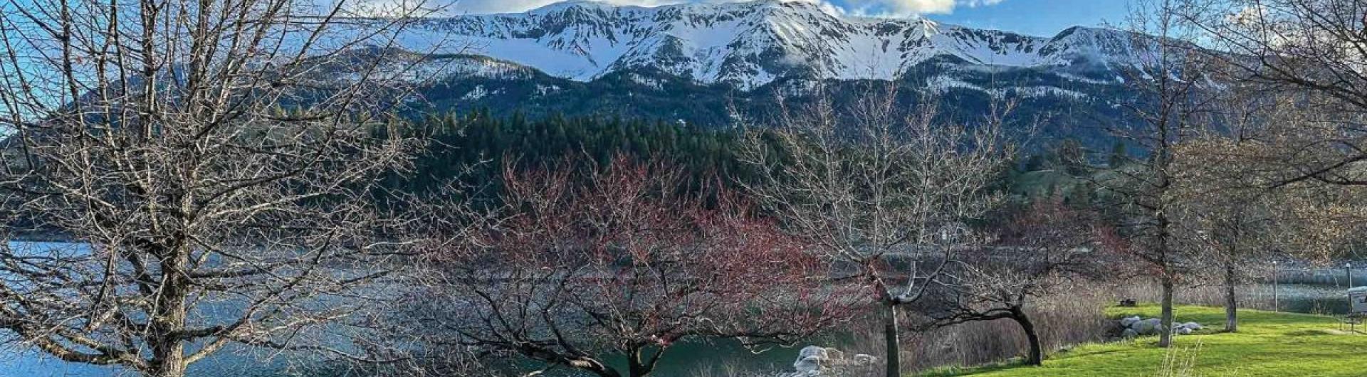 Home Page | Wallowa County OR